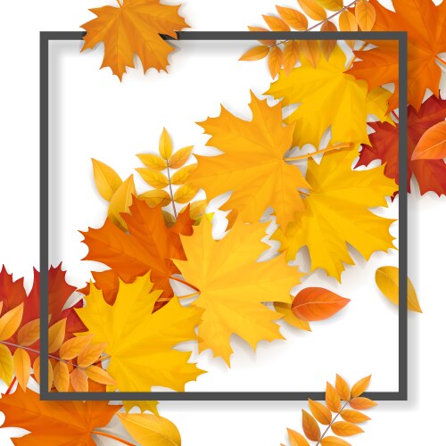 Square card with tropical leaves Royalty Free Vector Image