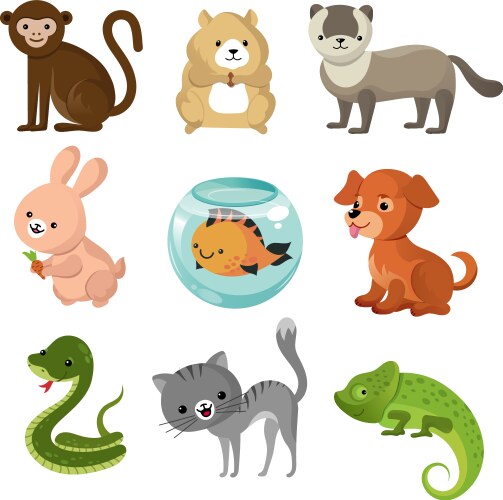 Pets design concept Royalty Free Vector Image - VectorStock
