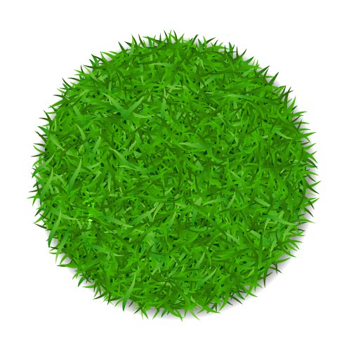 Grass circle 3d green plant grassy round field Vector Image