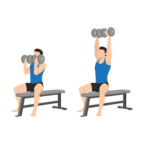 Seated Dumbbell Press Vector Images (36)