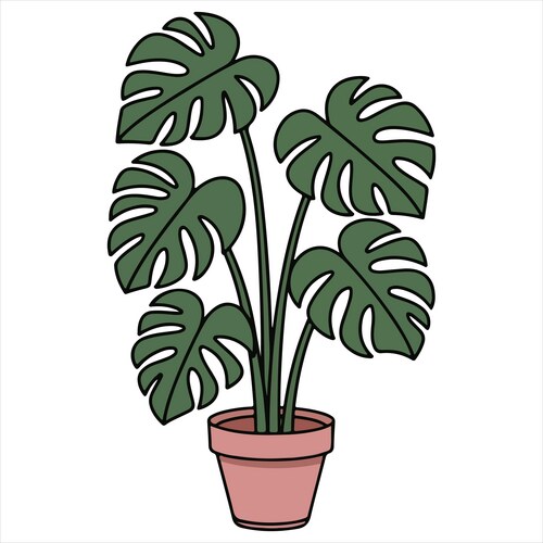 Monstera Plant Clip Art – Royalty-Free Vector | VectorStock