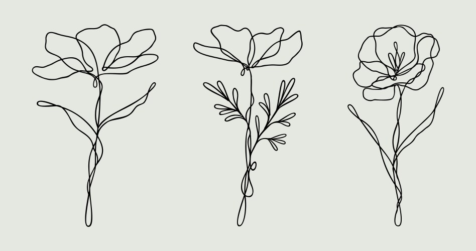 Wildflower line art bundle Royalty Free Vector Image