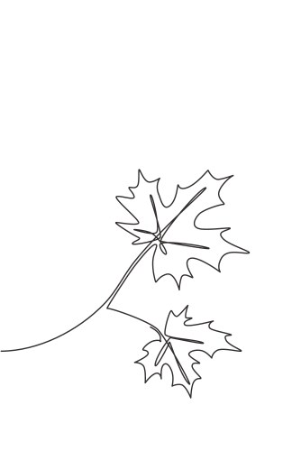 Line Drawing Maple Leaf Vector Images (over 2,300)