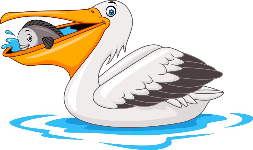 Cartoon pelican isolated on white background Vector Image