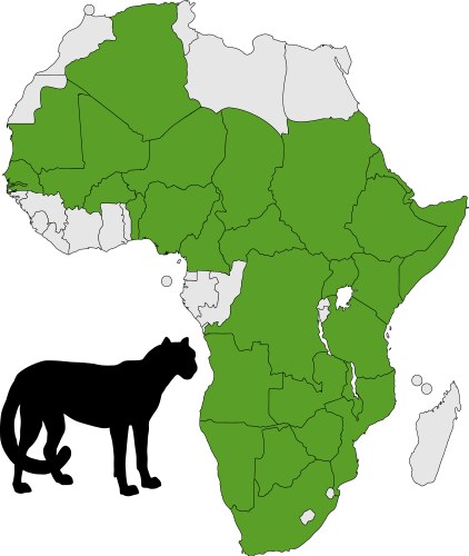 Simple not detailed shape africa continent Vector Image