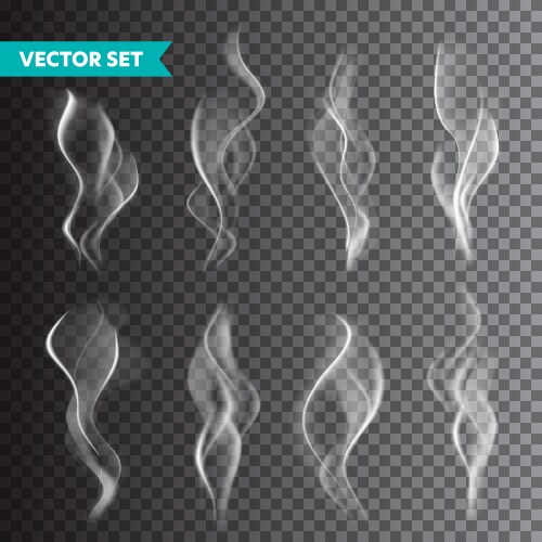 Isolated realistic cigarette smoke waves eps 10 Vector Image