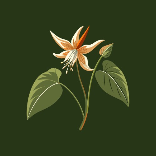 Real Flower Vector Images (over 4,600)
