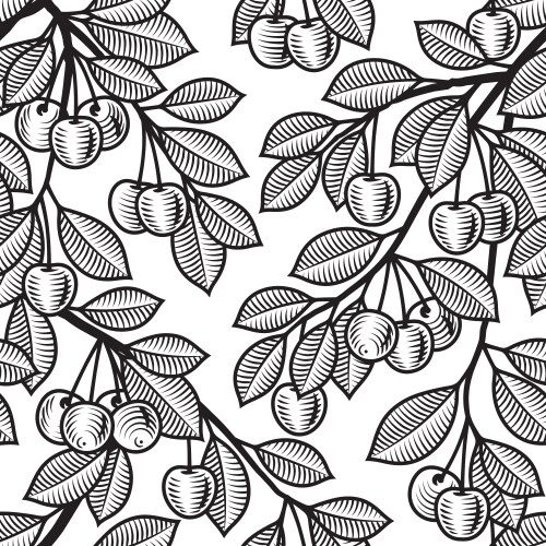 Cherry Tree Drawing Vector Images (over 5,000)