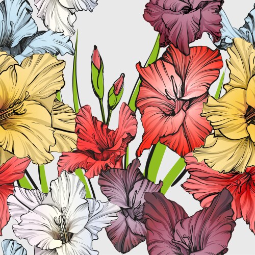 Gladiolus Vector Images (over 770)