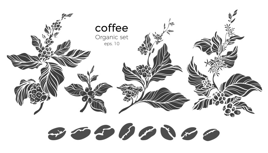 Mate 1 branch shape Royalty Free Vector Image - VectorStock