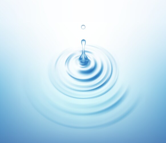 Realistic transparent drop and circle ripples set Vector Image