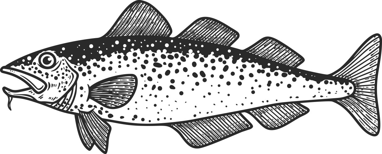 Cod Fish Vector Images (over 3,200)