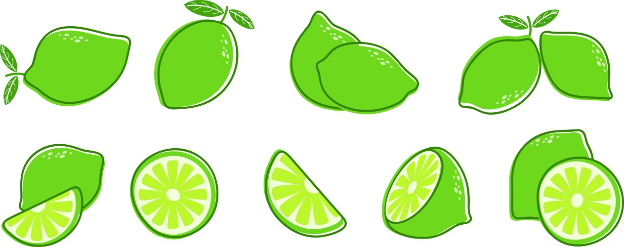 Lime slice green lemon Royalty Free Vector Image