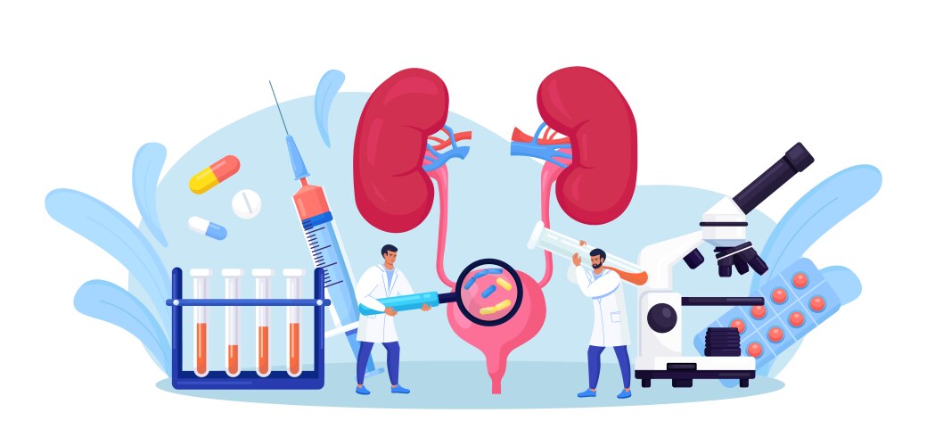 Informative urinary tract infections Royalty Free Vector