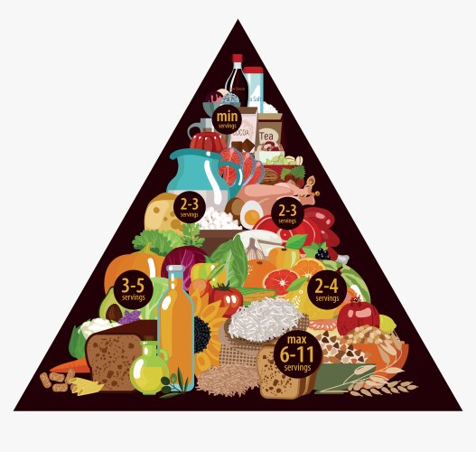 Healthy Food Pyramid Infographic Royalty Free Vector Image