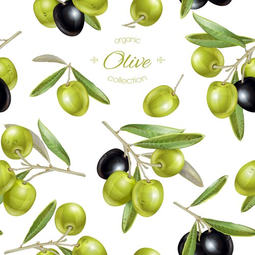 Olive realistic set Royalty Free Vector Image - VectorStock