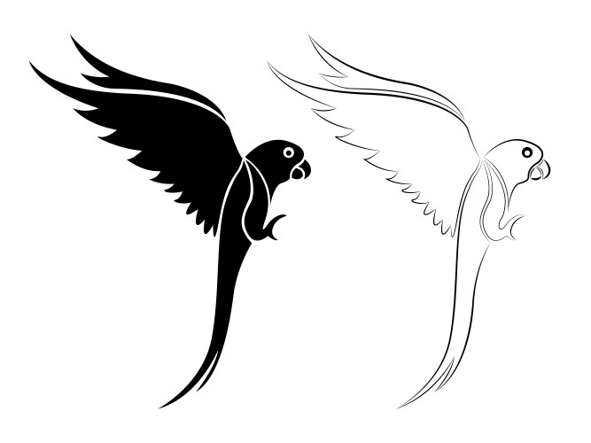 Parrot Bird Outline Vector Images (over 4,100)