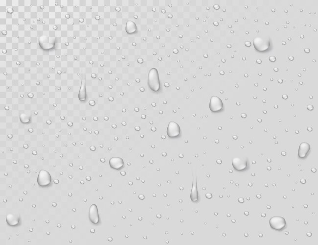 Wet Vector Images (over 180,000)