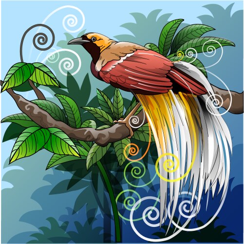 Cendrawasih Vector Images (10)