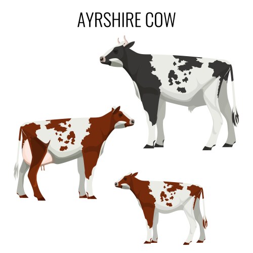 Black and white spotty cow Royalty Free Vector Image