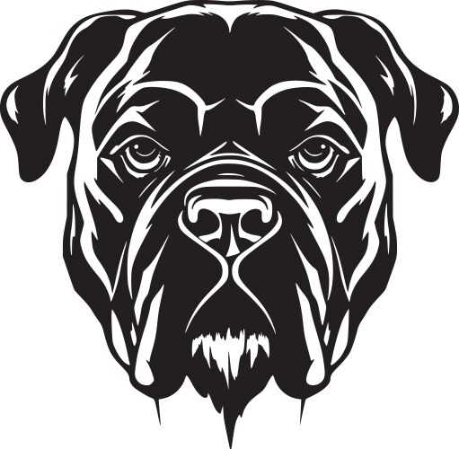 Cane Corsos Vector Images (over 270)