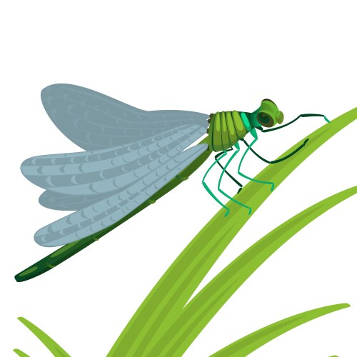 Cute green dragonfly cartoon Royalty Free Vector Image