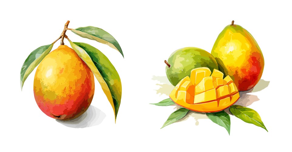Hand drawn watercolor painting on white background