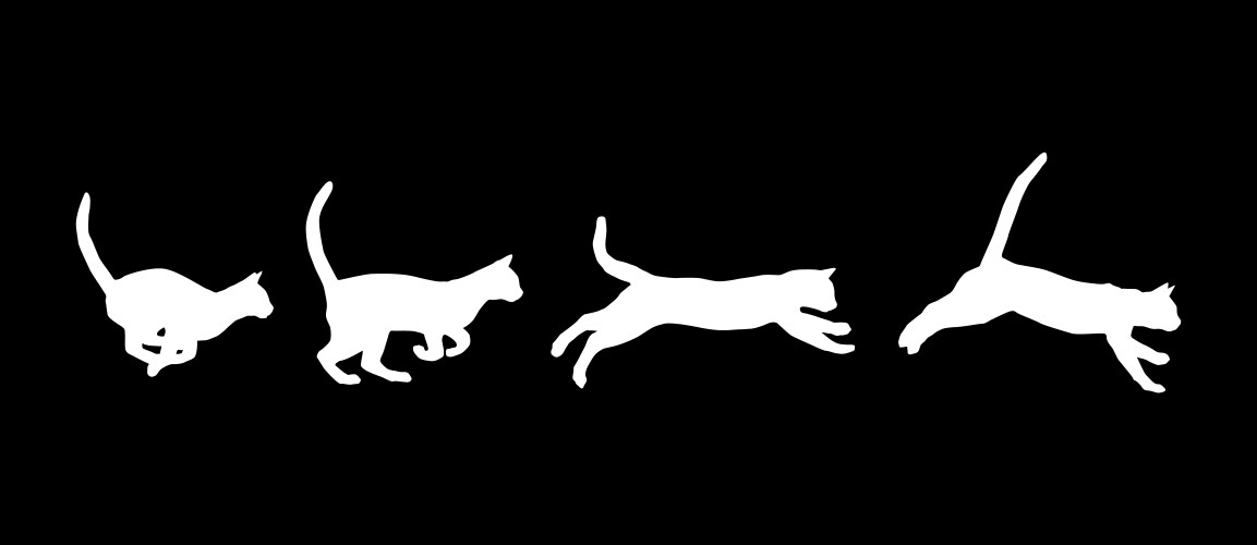 Cat Running Vector Images (over 4,100)