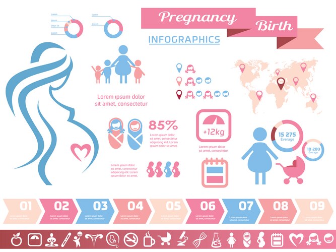 Pregnancy and birth infographics presentation Vector Image