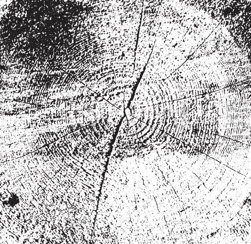 Cross Section Vector Images (over 12,000)