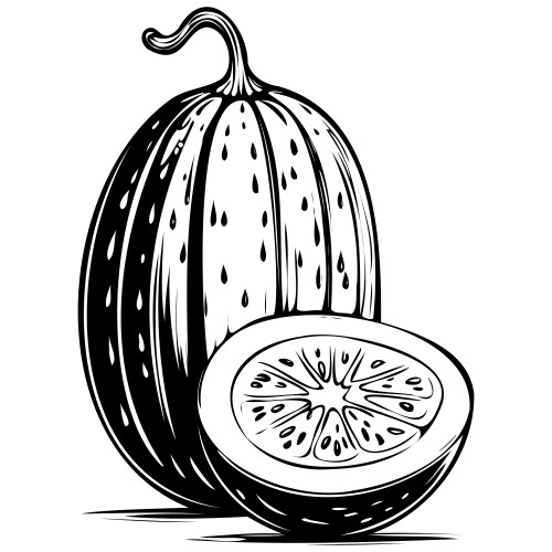 Melon Head Vector Images (over 270)