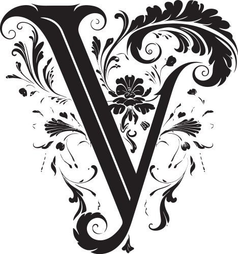 Yin yang elegance balanced font y art yuletide Vector Image