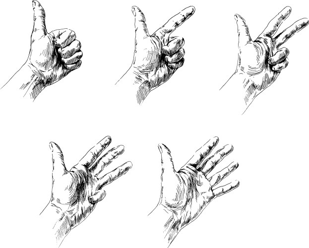 Counting Vector Images (over 110,000)