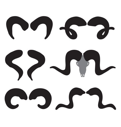 Wild animals sharp horns in pairs hunting trophy Vector Image