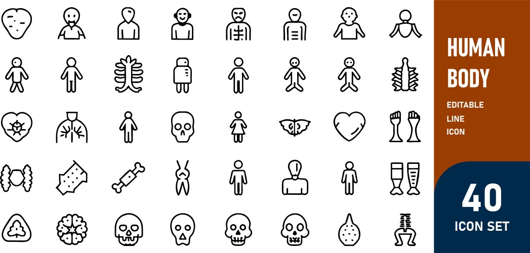 Human Body Outline Vector Images (over 40,000)