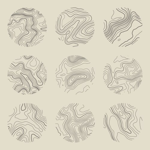 Topographic map with contour lines geographic Vector Image