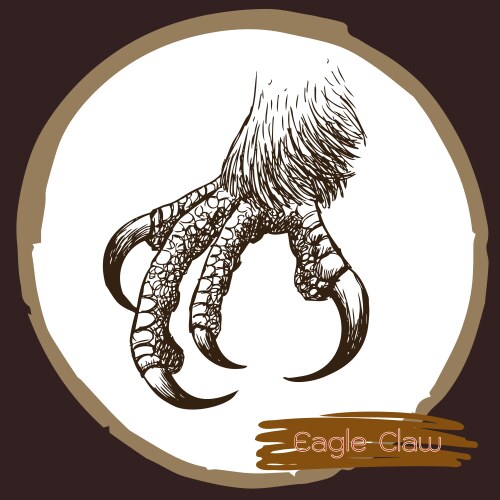 Eagle Claw Vector Images (over 4,300)