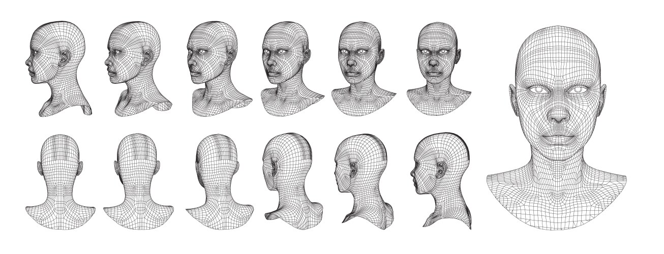 Wireframe head 3d model Royalty Free Vector Image