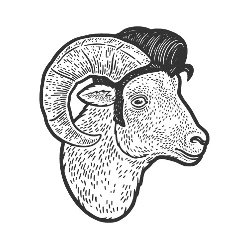 Ram Sketch Vector Images (over 2,400)