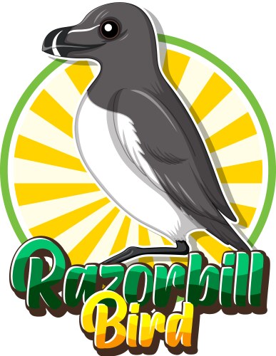 Razorbill Vector Images (38)