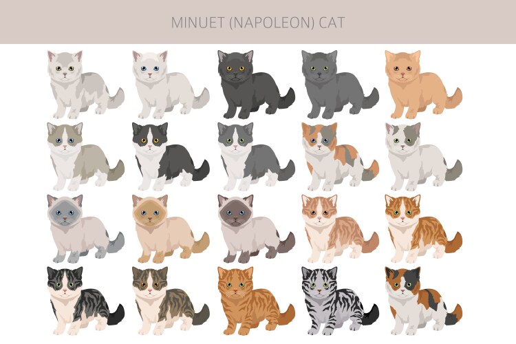 Kitty Coloring Vector Images (over 18,000)