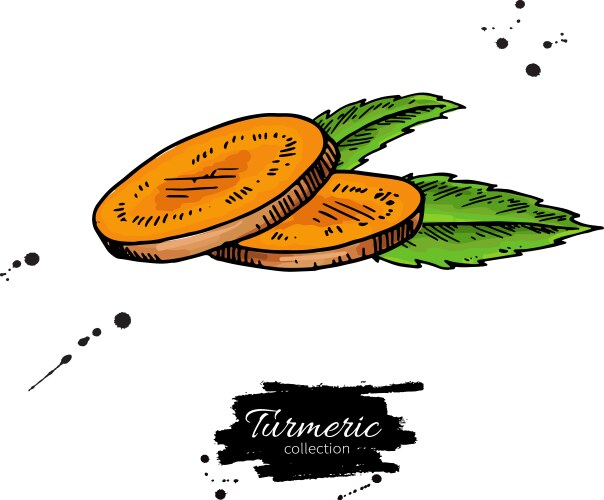 Turmeric Vector Images (over 2,800)