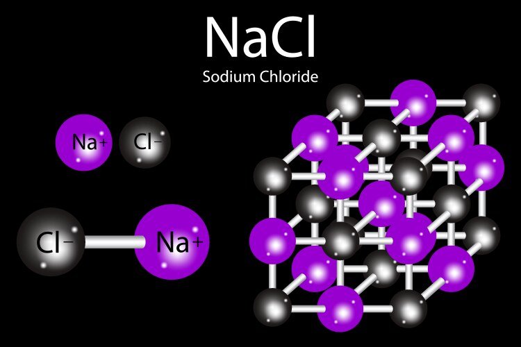 Nacl Vector Images (49)