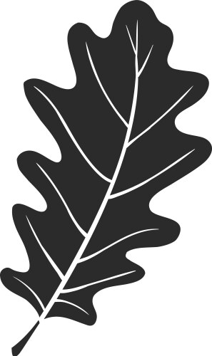 Oak Leaf Vector Images (over 57,000)