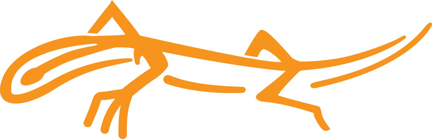 Orange Gecko Logo