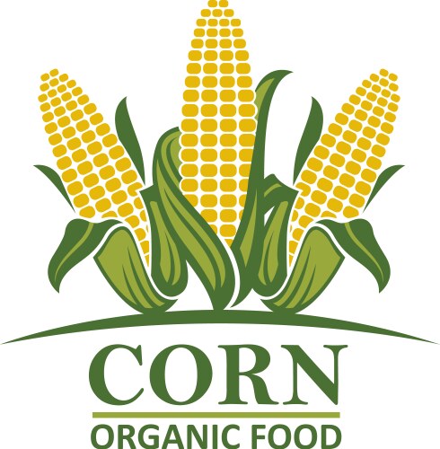 Logo for corn Royalty Free Vector Image - VectorStock