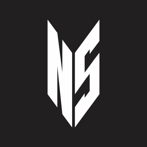 Ns logo monogram with back drop shape design Vector Image