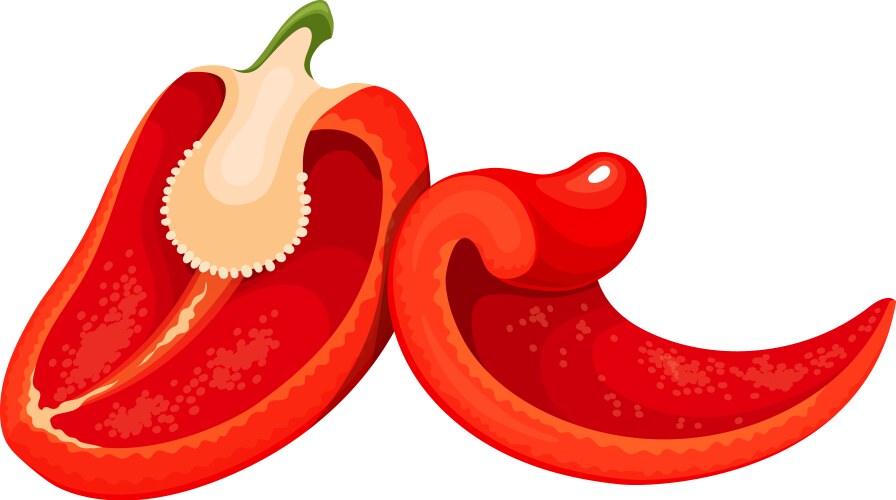 Paprika slice red bell pepper piece cartoon icon Vector Image