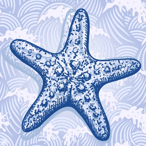 Sea star pattern Royalty Free Vector Image - VectorStock