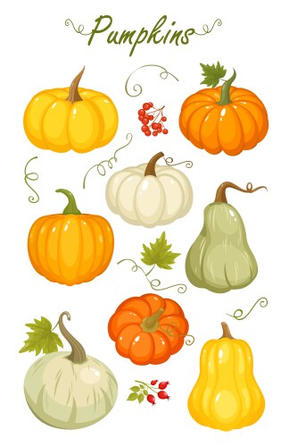 Cartoon colored pumpkins top view symbol happy Vector Image